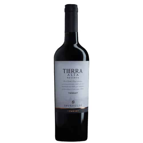 Tierra Alta reserva Tannat - Balbuena Wines